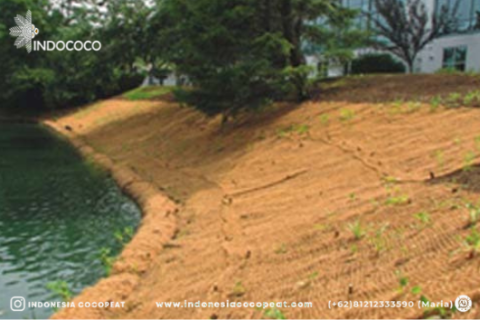 Coir Log Detail - A Comprehensive Exploring Coir Logs Detail Guide to ...