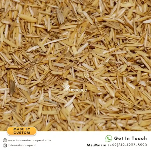 Natural Indonesia Rice Husk | High-Quality Organic Mulch