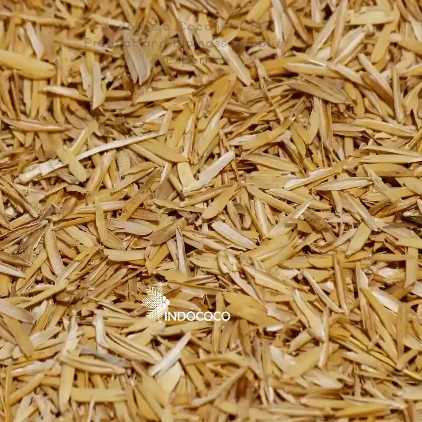 Rice Husk: A Valuable Agricultural Byproduct with Many Uses